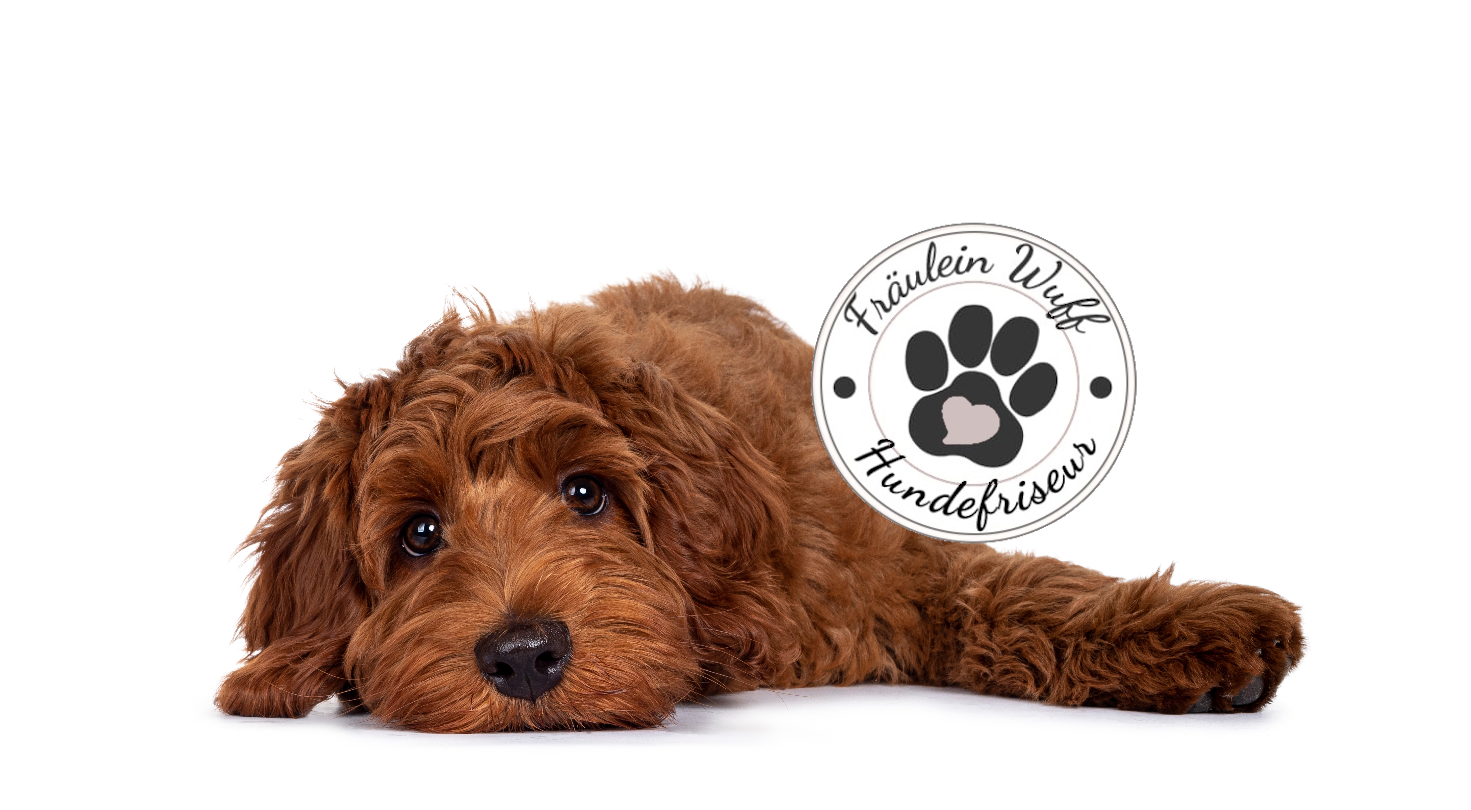 Hundefriseur Fräulein Wuff